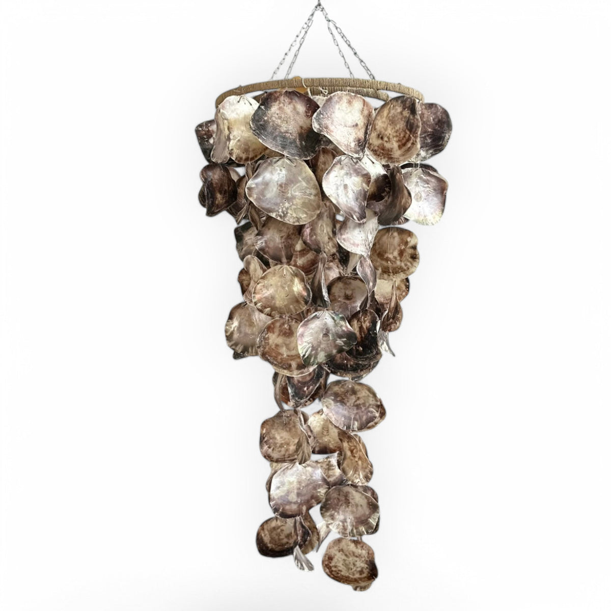 Large Hanging Light/Chandelier | Cascading Sea Shells – Yellow Lemon Tree